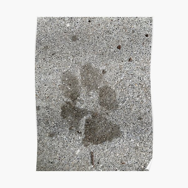 "Pitt Bull Paw Print" Poster by Naturefae | Redbubble