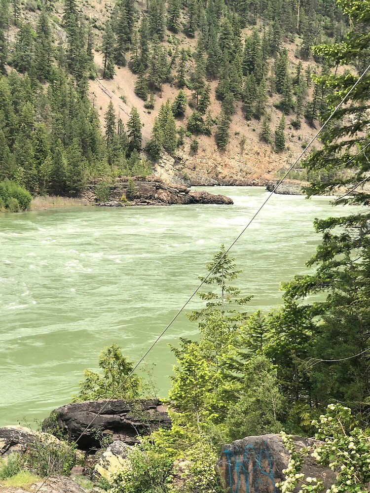 "River Shot" Poster for Sale by ArtistsPallets | Redbubble