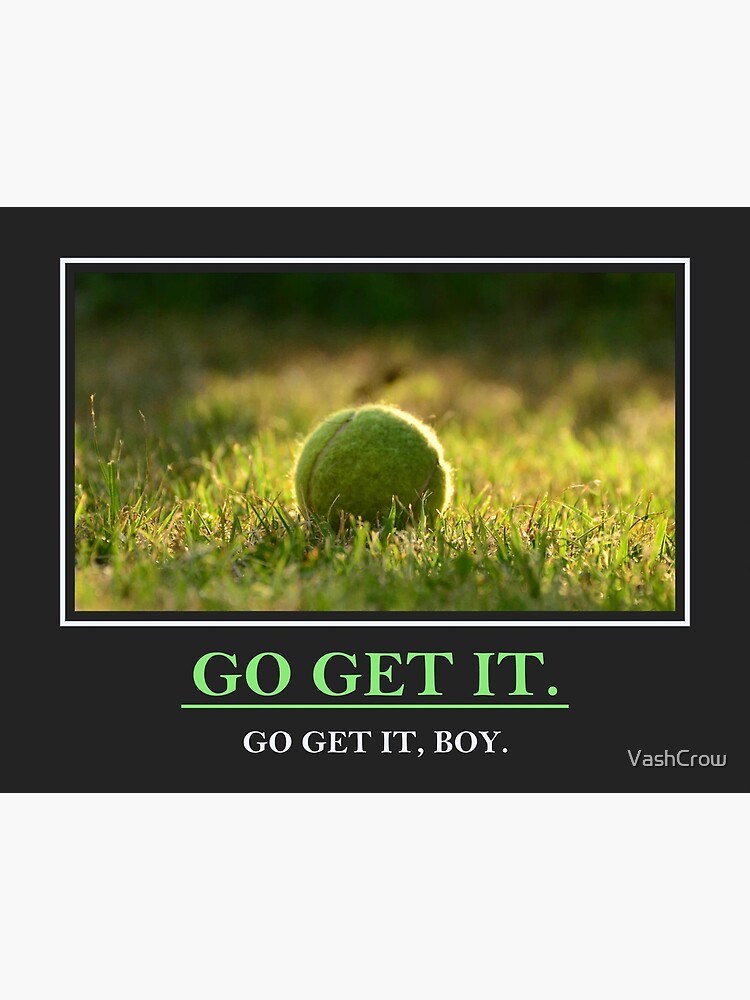 "Go Get It, Boy." Poster for Sale by VashCrow | Redbubble