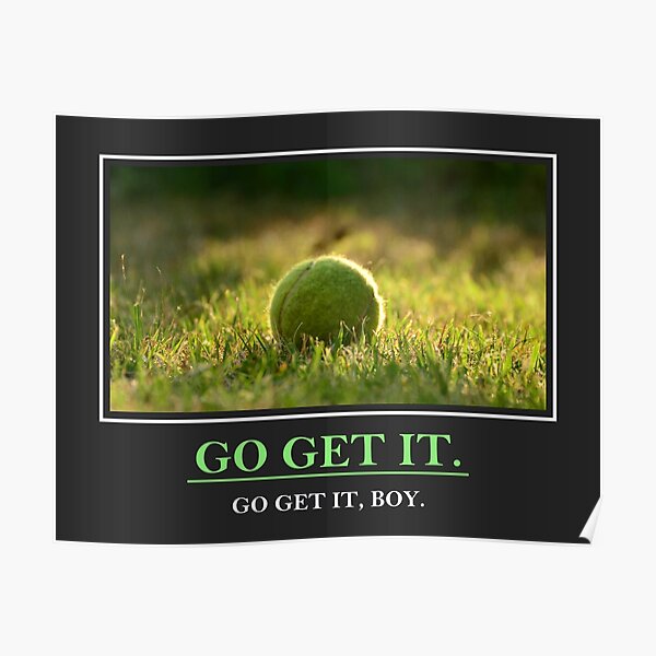 "Go Get It, Boy." Poster for Sale by VashCrow | Redbubble