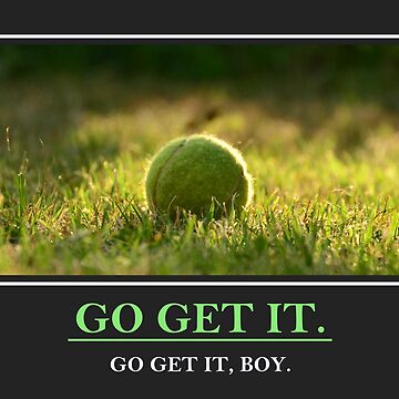 "Go Get It, Boy." Poster for Sale by VashCrow | Redbubble