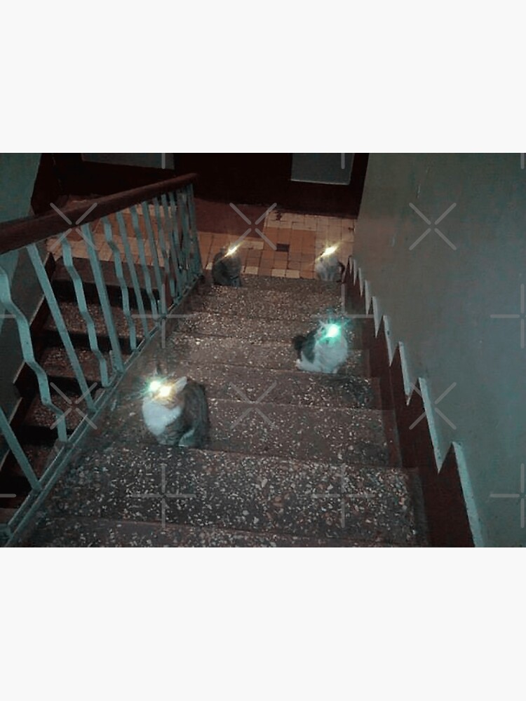 "Robot cats with laser eyes - Cursed Image #0029 | Cursed Images ...