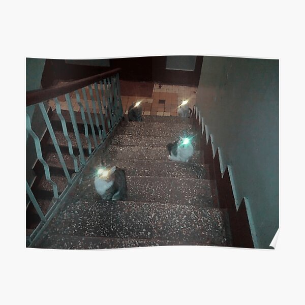 "Robot cats with laser eyes - Cursed Image #0029 | Cursed Images ...