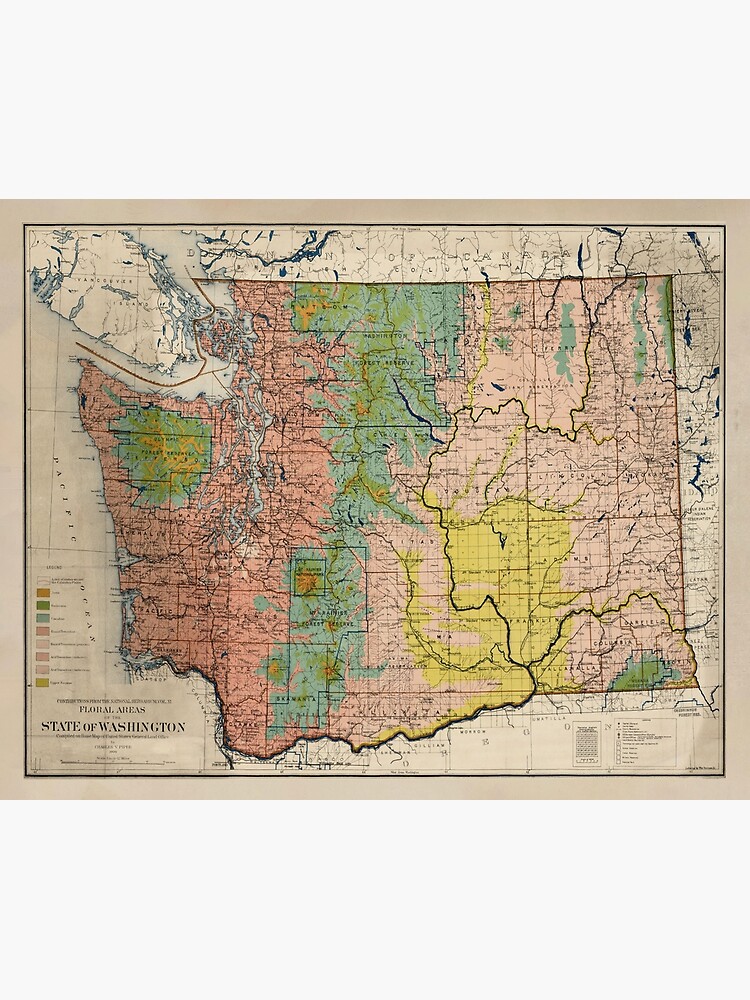 "Old Washington State Floral Biome Map (1906) Vintage WA Vegetation ...