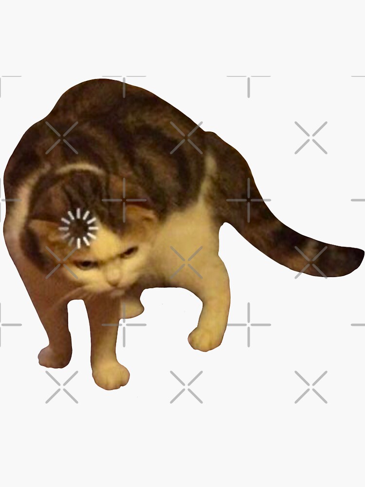 "buffering cat meme " Sticker for Sale by spaghettibeanz | Redbubble
