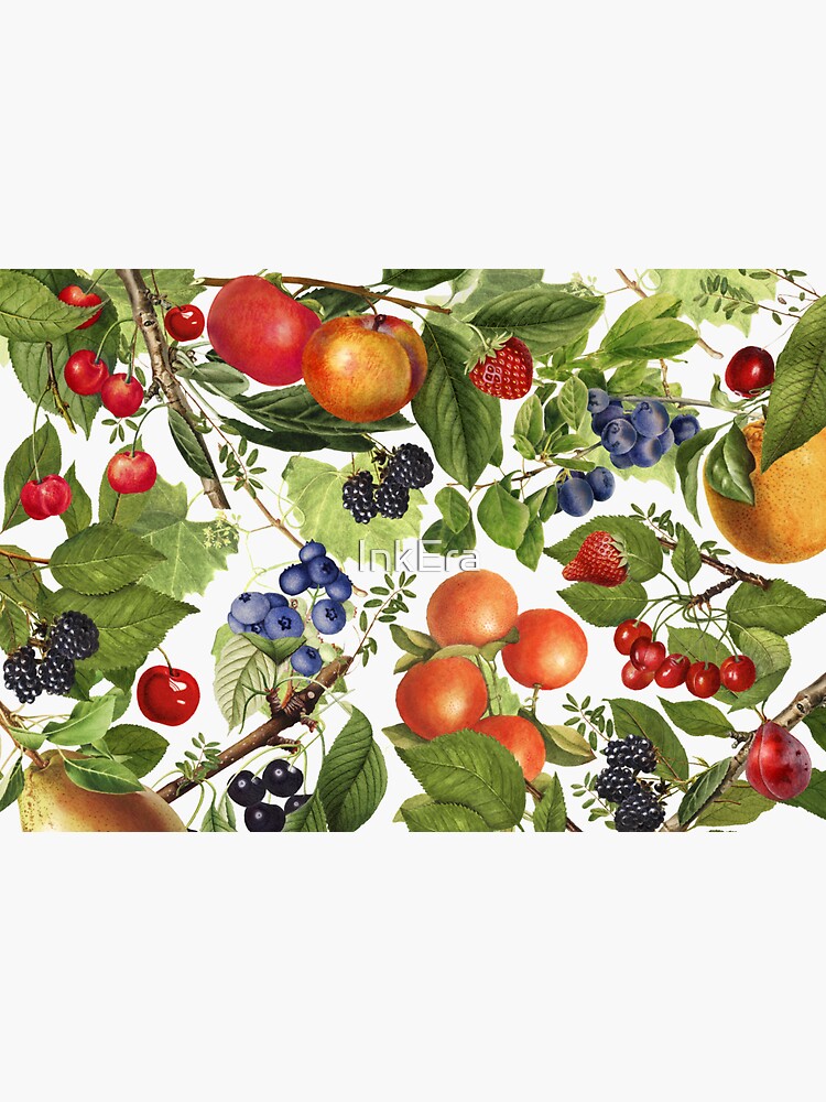 Pegatina «Impresión de la selva del collage de cóctel de frutas de ...