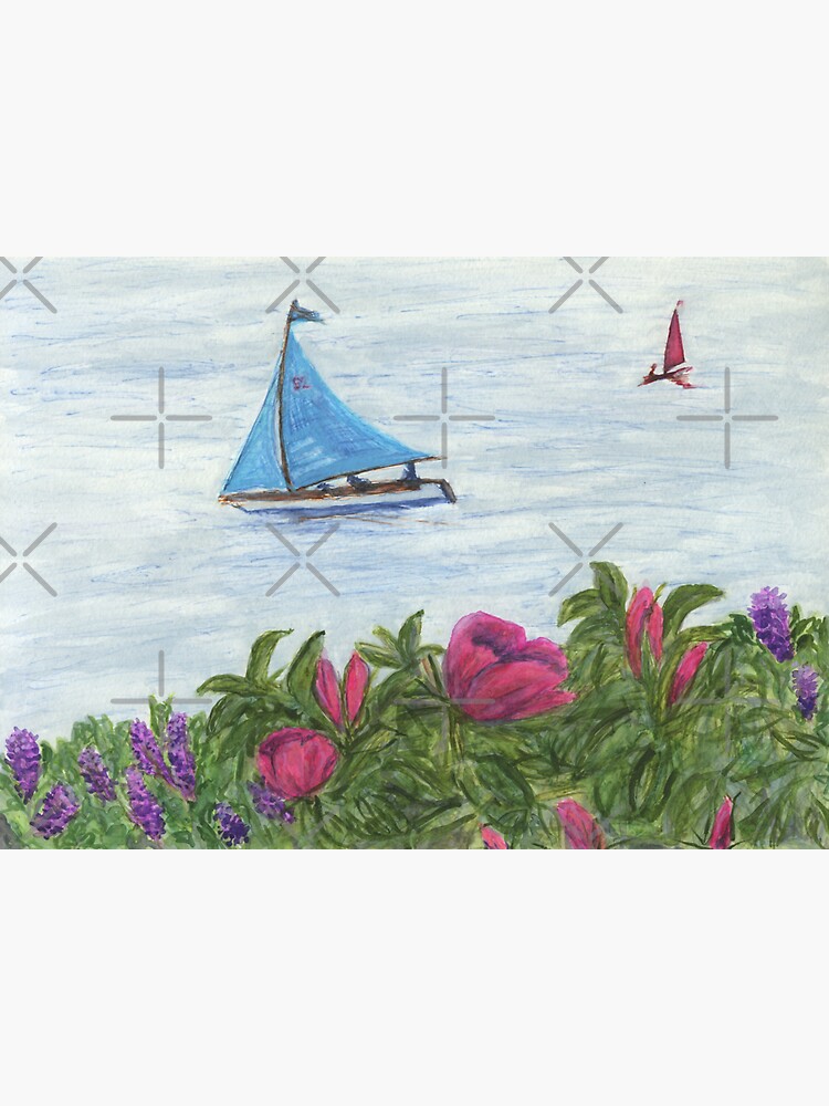 "Snowgoose the Seabird Half-Rater Sails Past Veronica Hebe and Old Rose ...