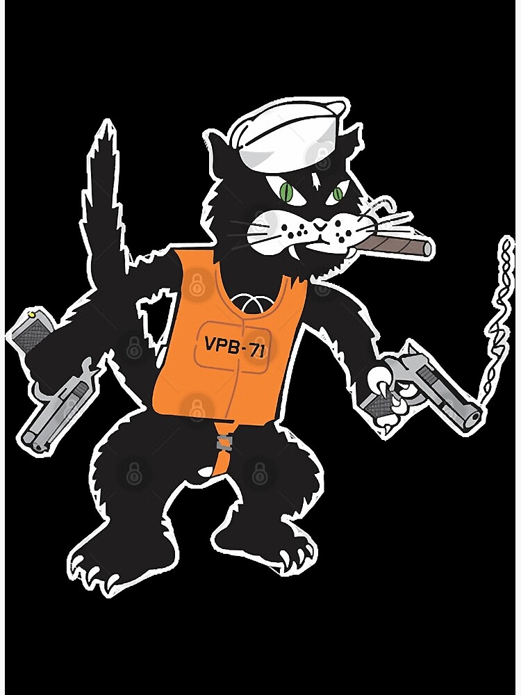 "Black Cat VPB-71 " Poster by jasperkil | Redbubble