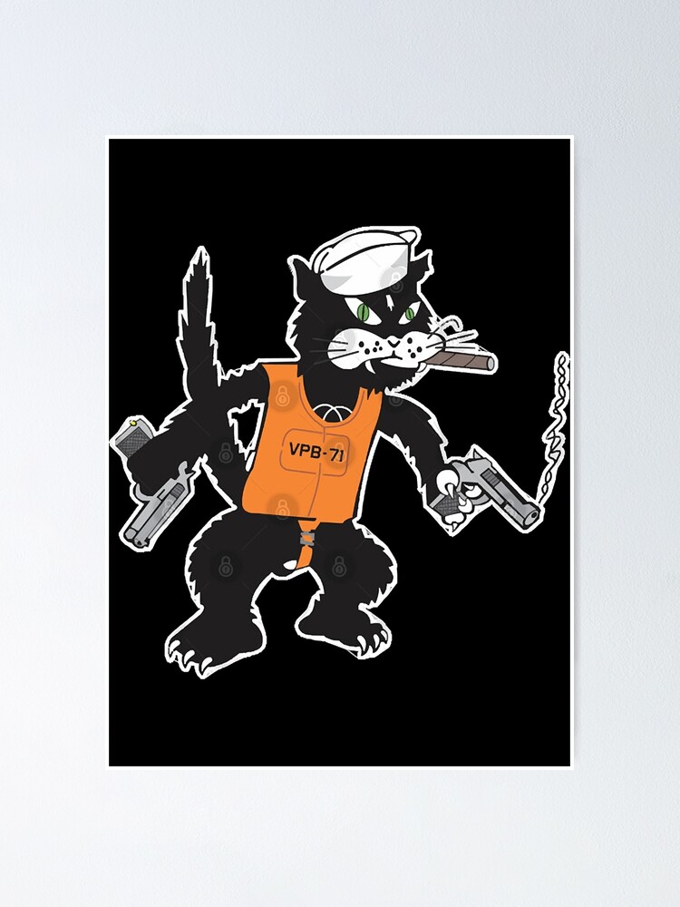 "Black Cat VPB-71 " Poster by jasperkil | Redbubble