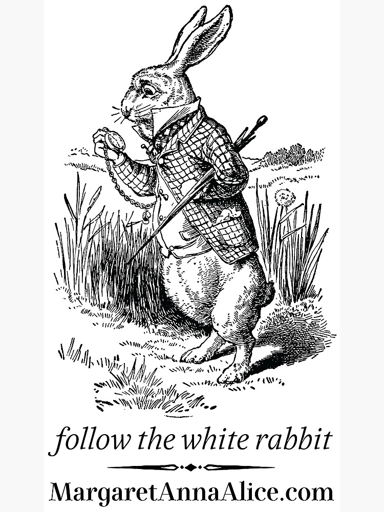 "Margaret Anna Alice Through the Looking Glass: Follow the White Rabbit ...