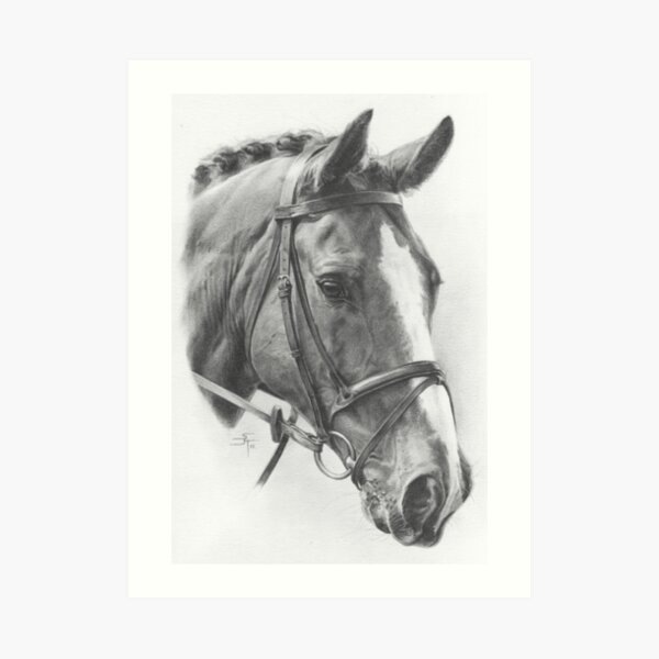 "Ulan" Art Print for Sale by samithorpe | Redbubble