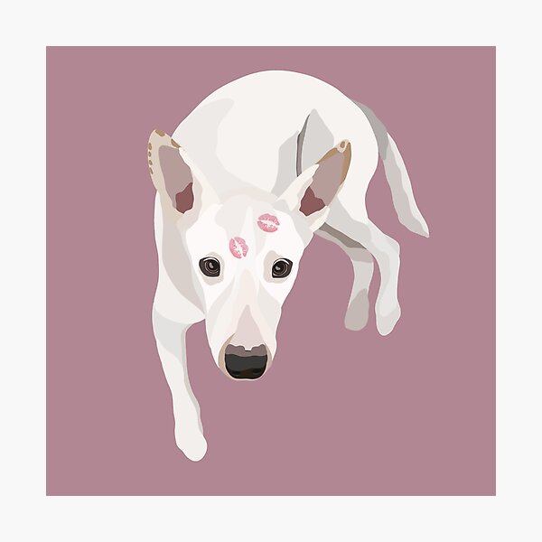 Lámina fotográfica «Perro Rescate Blanco Con Lápiz Labial Besos Retrato ...