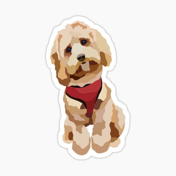 "Cavapoo Puppy Dog Portrait Digital Illustration" Sticker for Sale by ...