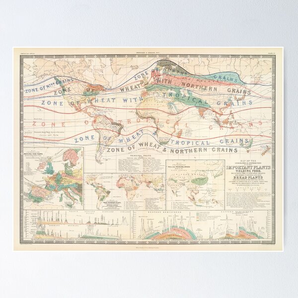 "Old World Agricultural Map (1854) Vintage Global Crops & Produce Atlas ...