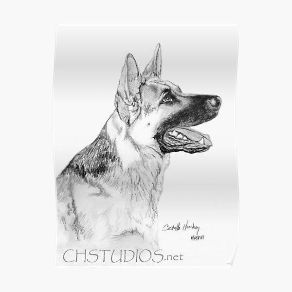 "Fuzzy Wuzzy" Poster for Sale by chstudios | Redbubble