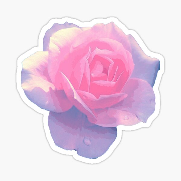 "Pink rose" Sticker for Sale by JUyuon | Redbubble