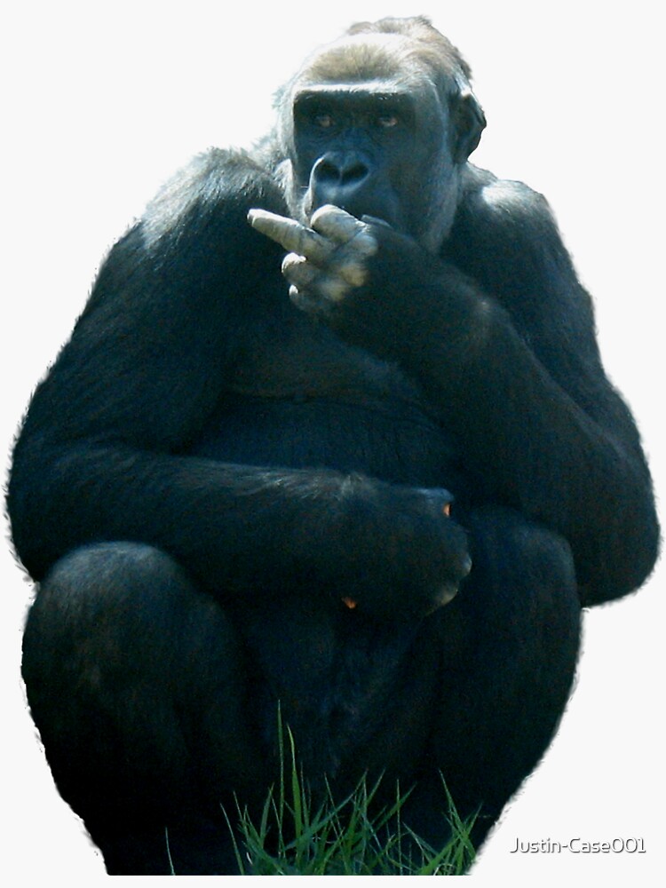 "FU Gorilla" Sticker by Justin-Case001 | Redbubble