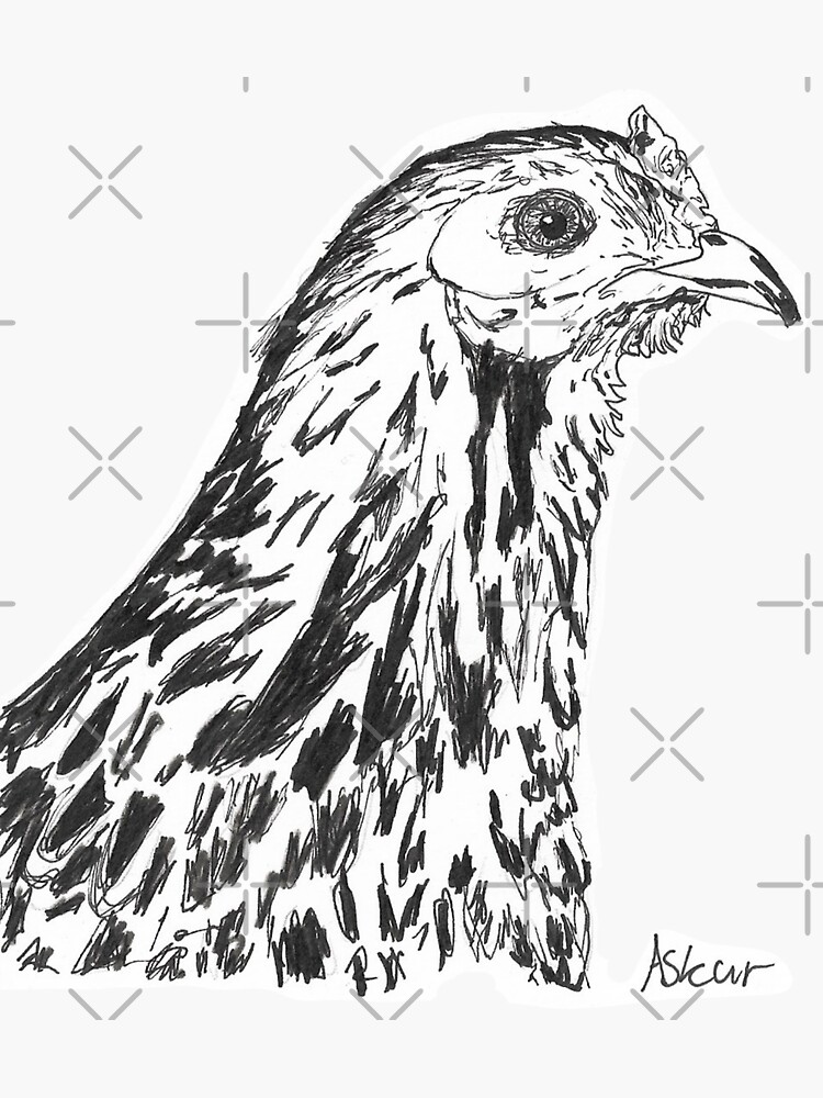 "Marker sketch of a chicken" Sticker for Sale by Askur2000 | Redbubble