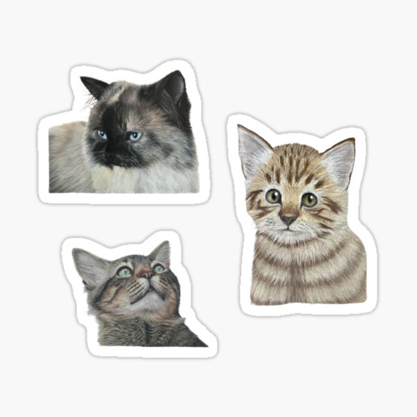 "Trio of cats (Stickers)" Sticker for Sale by NathBros | Redbubble