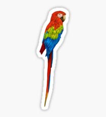 Parrot Stickers | Redbubble