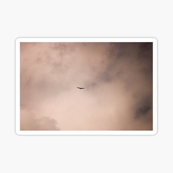 "Flying up High Touching the Clouds" Sticker for Sale by Lapardolo ...