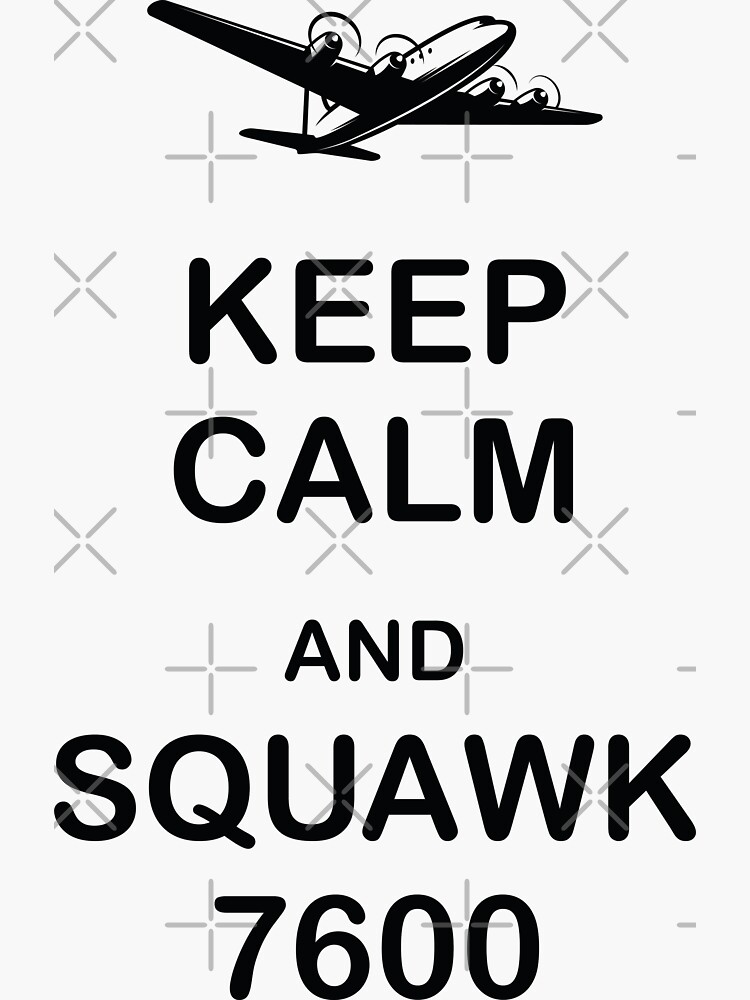 "Keep Calm and Squawk 7600 Aviation Gift, Pilot Gift,Love Flying Gift ...