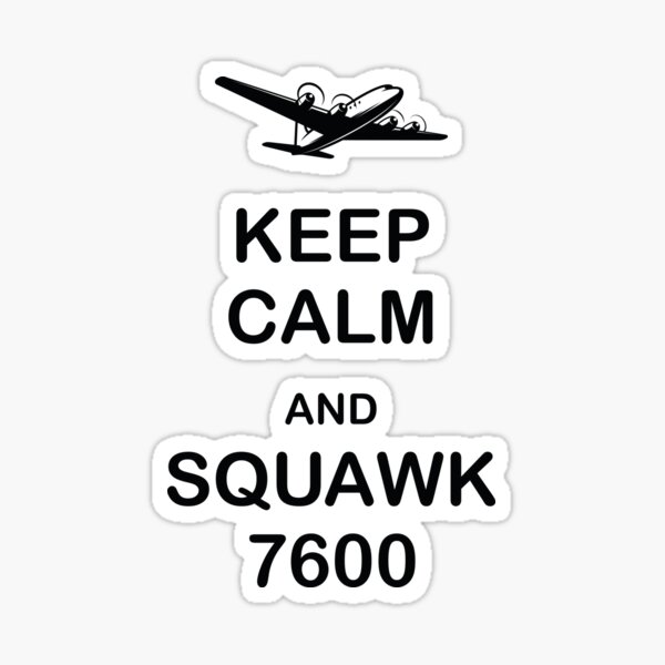 "Keep Calm and Squawk 7600 Aviation Gift, Pilot Gift,Love Flying Gift ...
