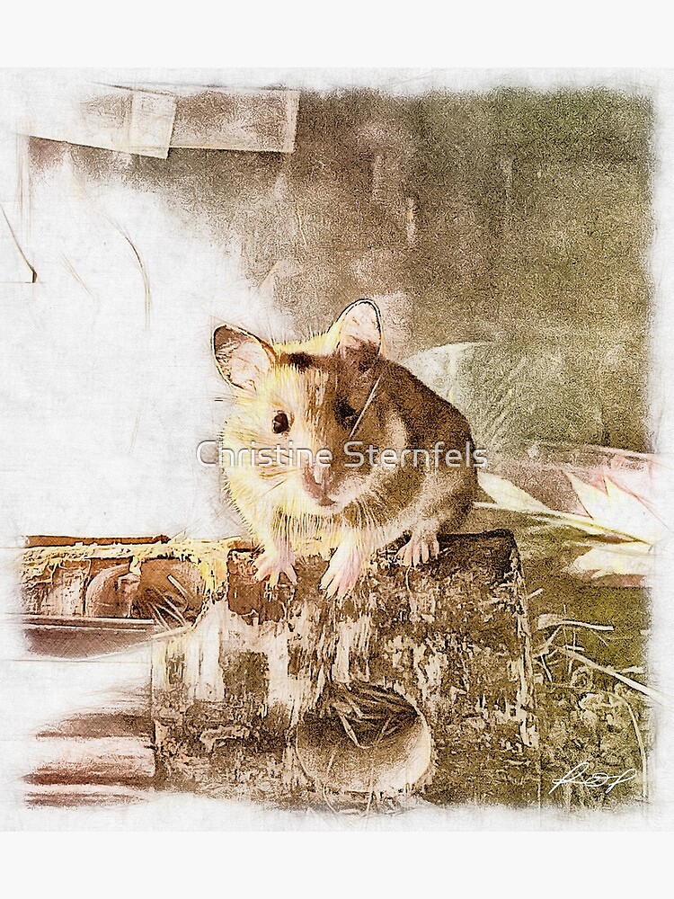 "The Escape Artist" Poster by csternfels | Redbubble