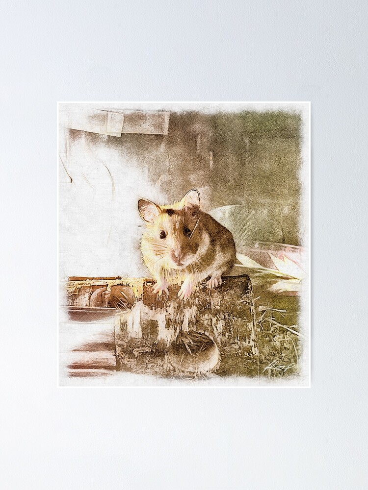 "The Escape Artist" Poster by csternfels | Redbubble