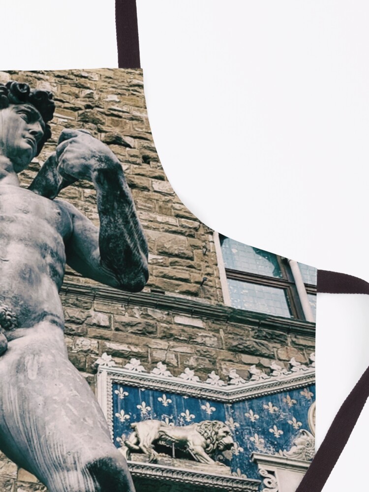 "Michelangelo's David Statue, Piazza della Signoria, Florence, Italy ...