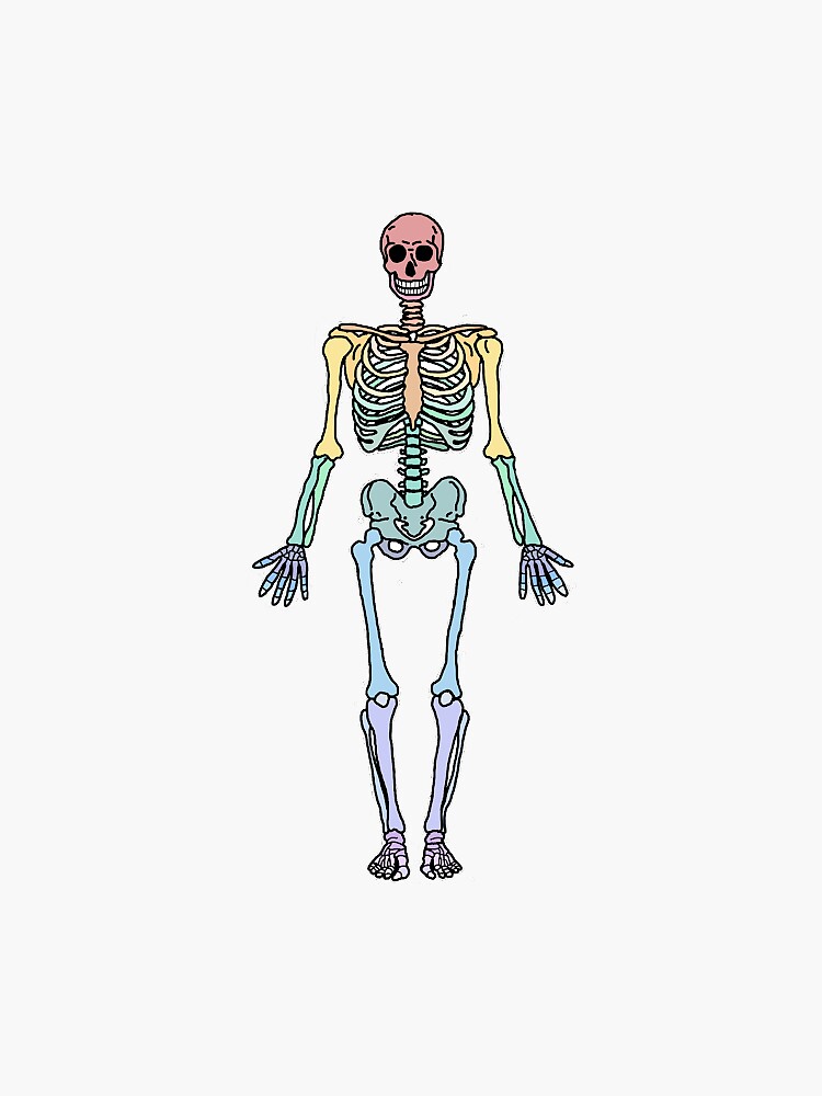 "Rainbow Skeleton" Sticker for Sale by rosiepiscitello | Redbubble
