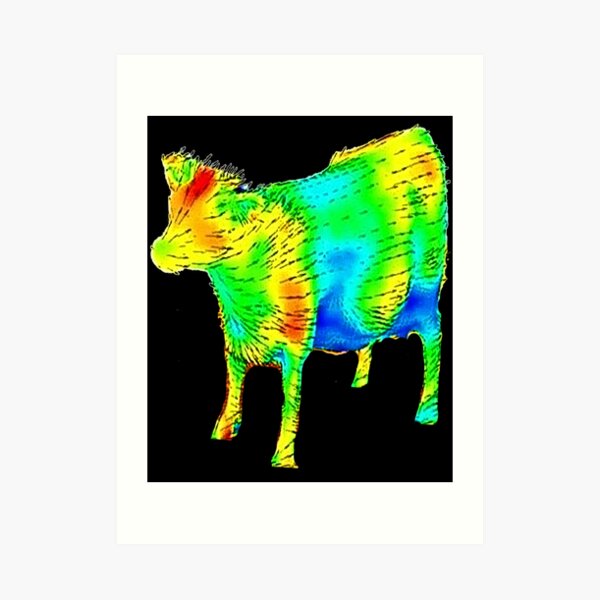 "aerodynamics of a cow, cow, physics, science, engineering, meme ...