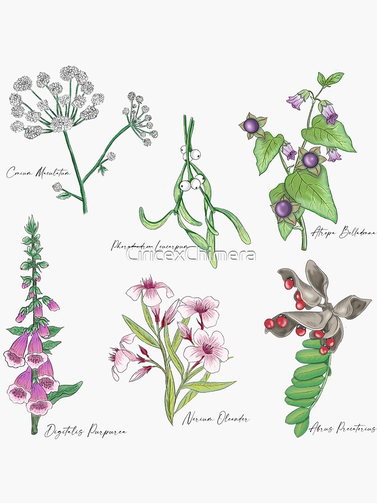 "Poisonous Plants" Sticker for Sale by CiricexChimera | Redbubble