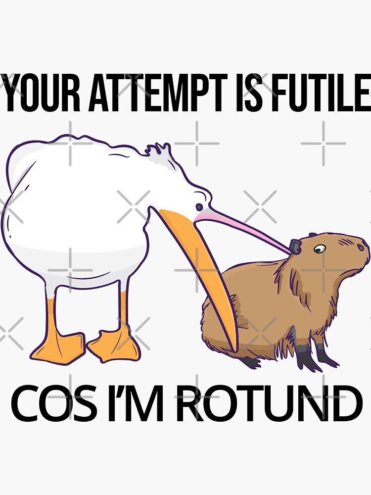 "I'm Rotund Baby Capybara Pelican Funny Cute Chill Meme" Sticker for ...