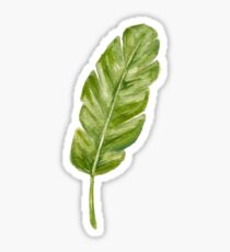 Palm Leaf: Stickers | Redbubble