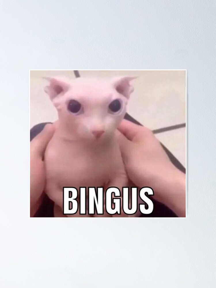 "Bingus" Poster for Sale by Lookaz | Redbubble
