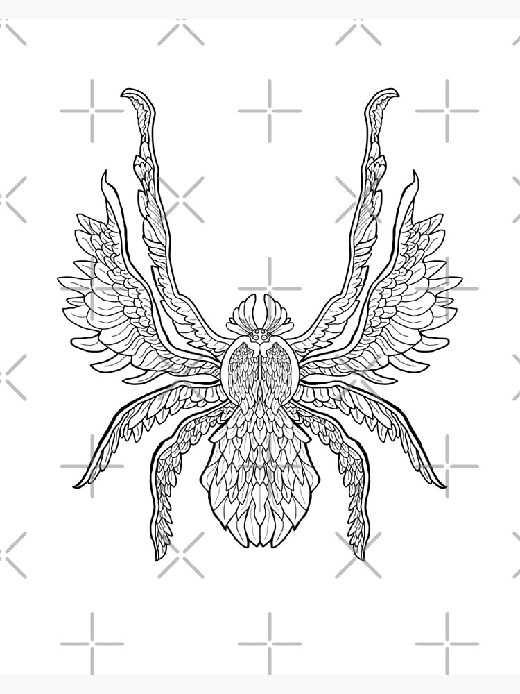 "Angel Spider - Complicated Spiders - Black line" Art Print by ...