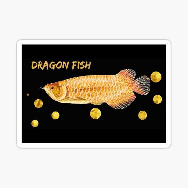 "Arowana the Dragon fish - Animals" Sticker for Sale by Badowolf ...