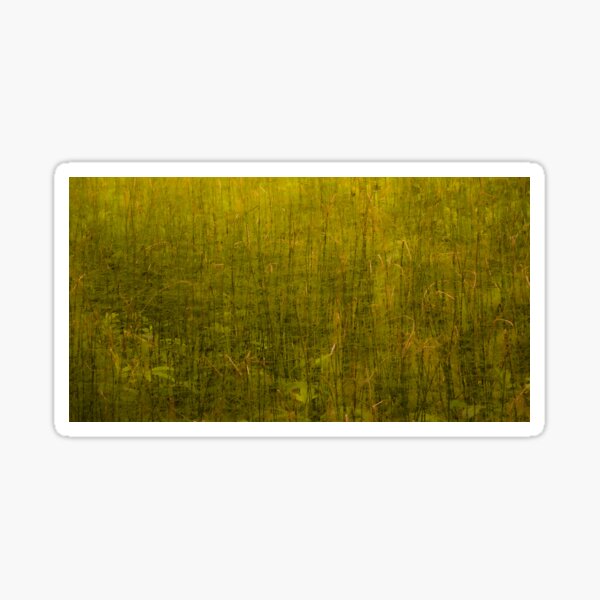 "The hay " Sticker for Sale by Moosesandpals | Redbubble