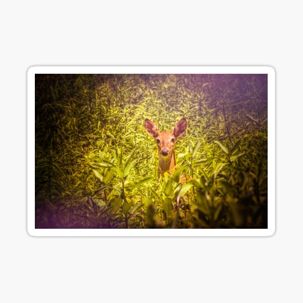 "Uh Oh" Sticker for Sale by butterbean57 | Redbubble