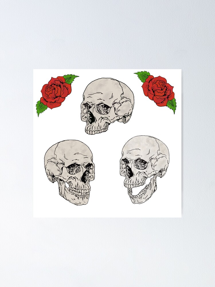 Póster «Skull human anatomy floral, anatomical skull stickers ...