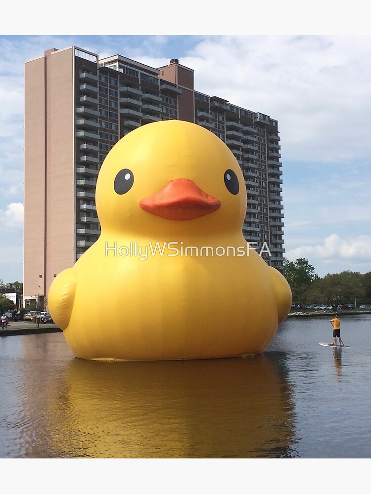 Here Ducky Ducky Poster For Sale By Hollywsimmonsfa Redbubble
