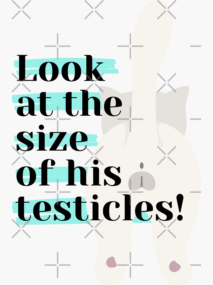 "Look at the size of his testicles!" Sticker for Sale by Verubi | Redbubble