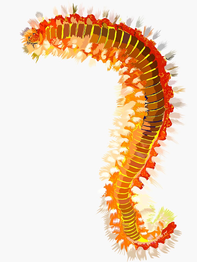 "Bearded Fireworm" Sticker for Sale by michdevilish | Redbubble