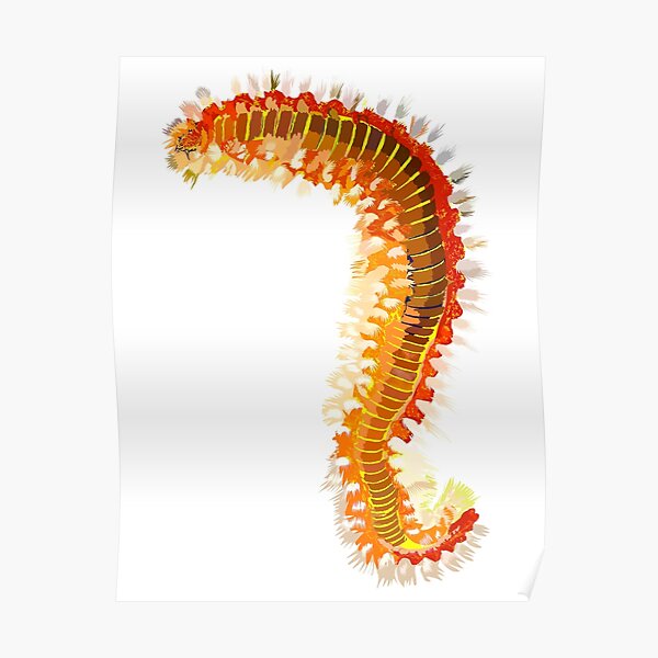 "Bearded Fireworm" Poster by michdevilish | Redbubble