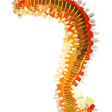 "Bearded Fireworm" Postcard for Sale by michdevilish | Redbubble