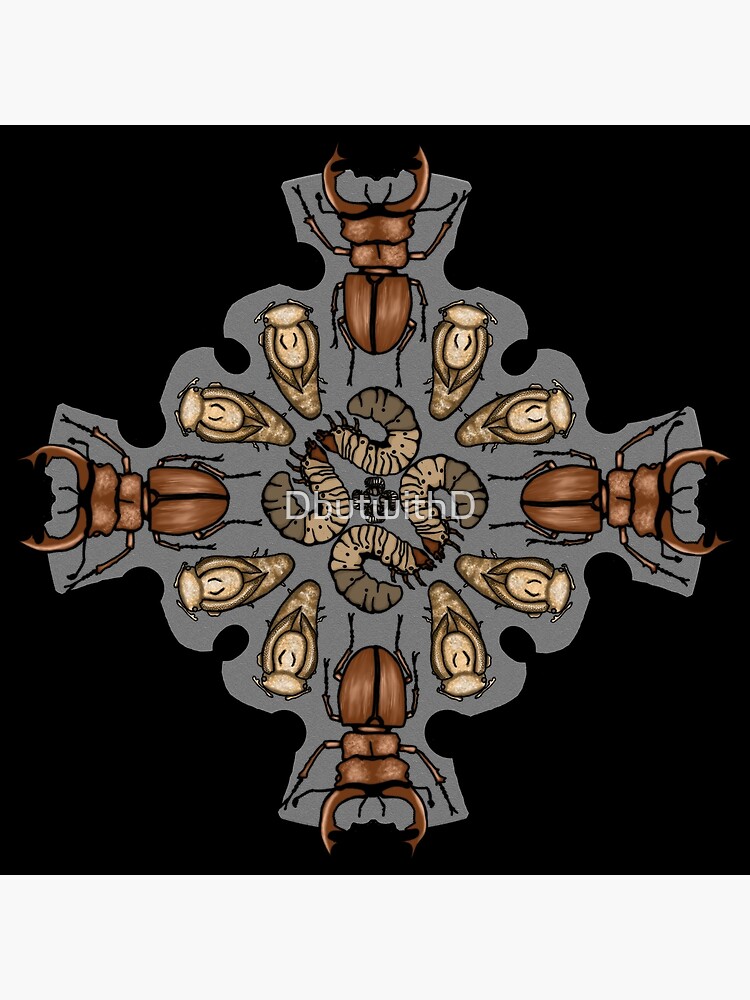 "Stag Beetle Life Cycle" Poster for Sale by DbutwithD | Redbubble
