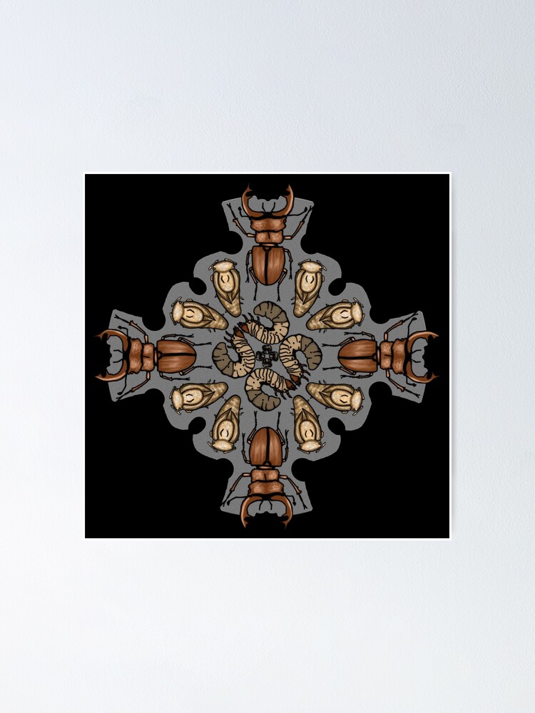 "Stag Beetle Life Cycle" Poster for Sale by DbutwithD | Redbubble