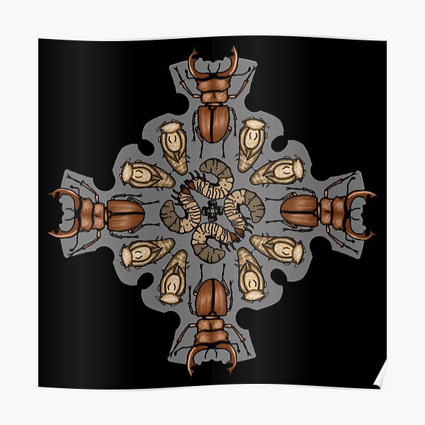 "Stag Beetle Life Cycle" Poster for Sale by DbutwithD | Redbubble