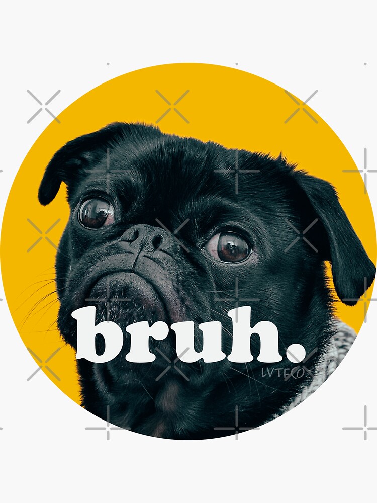 "Pug Bruh." Sticker for Sale by LuveeTuffCo | Redbubble
